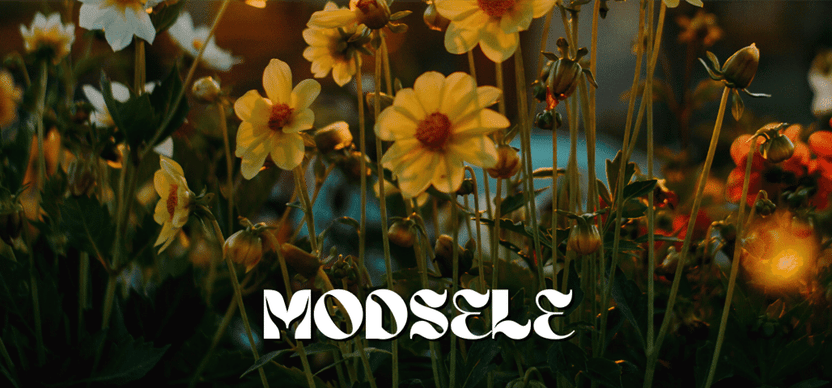 Magenta Hot Stone Spaghetti Strap Long Prom Gown with Slit – Modsele